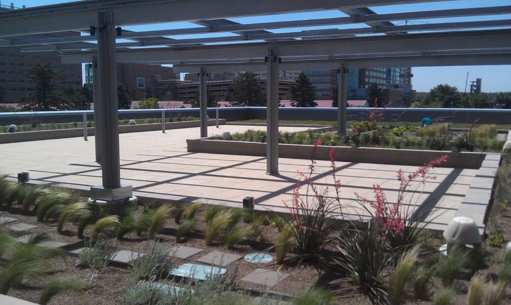 The Denver Green Roof Initiative And Its Influence On Construction